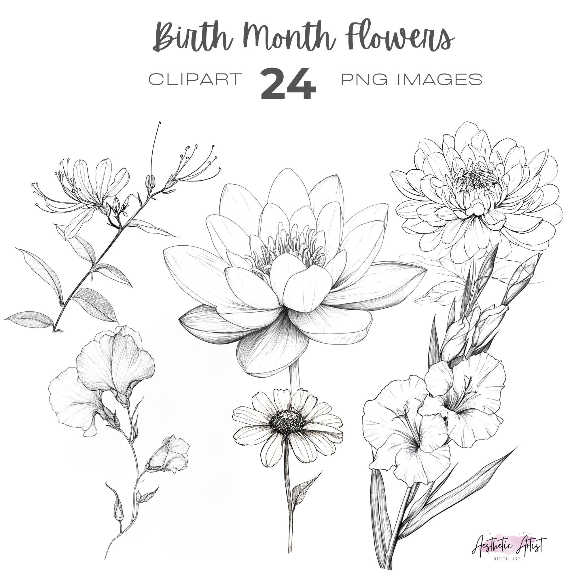 Line Drawing Birth Month Flowers Clipart Bundle, Birthday, Personalized ...