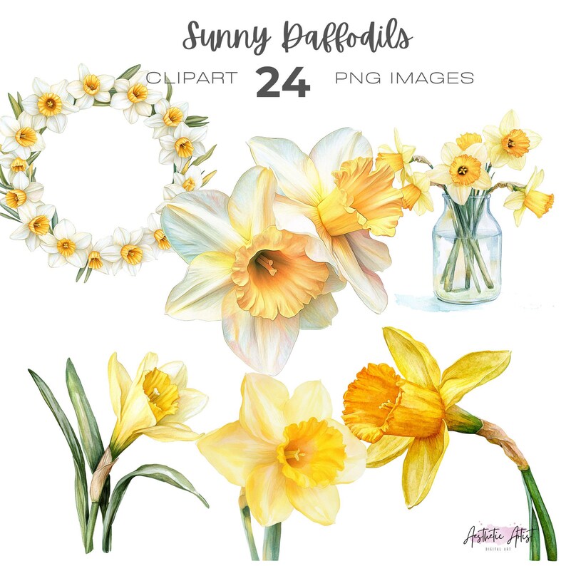 Watercolour Sunny Daffodils Clipart Bundle, Wedding, Spring Floral ...