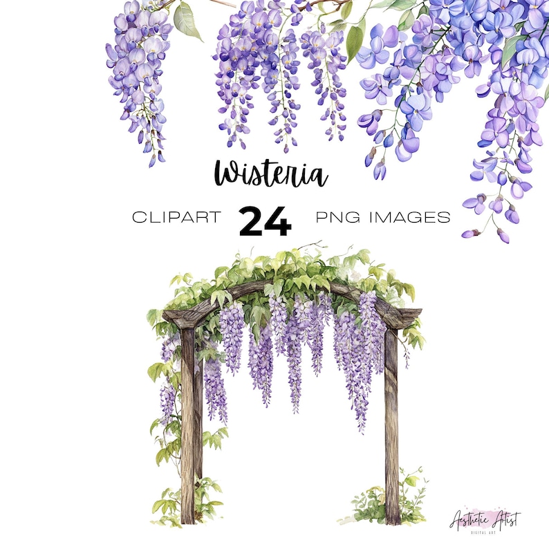 Watercolour Cascading Wisteria Clipart Bundle, Wedding, Wisteria Wreath ...