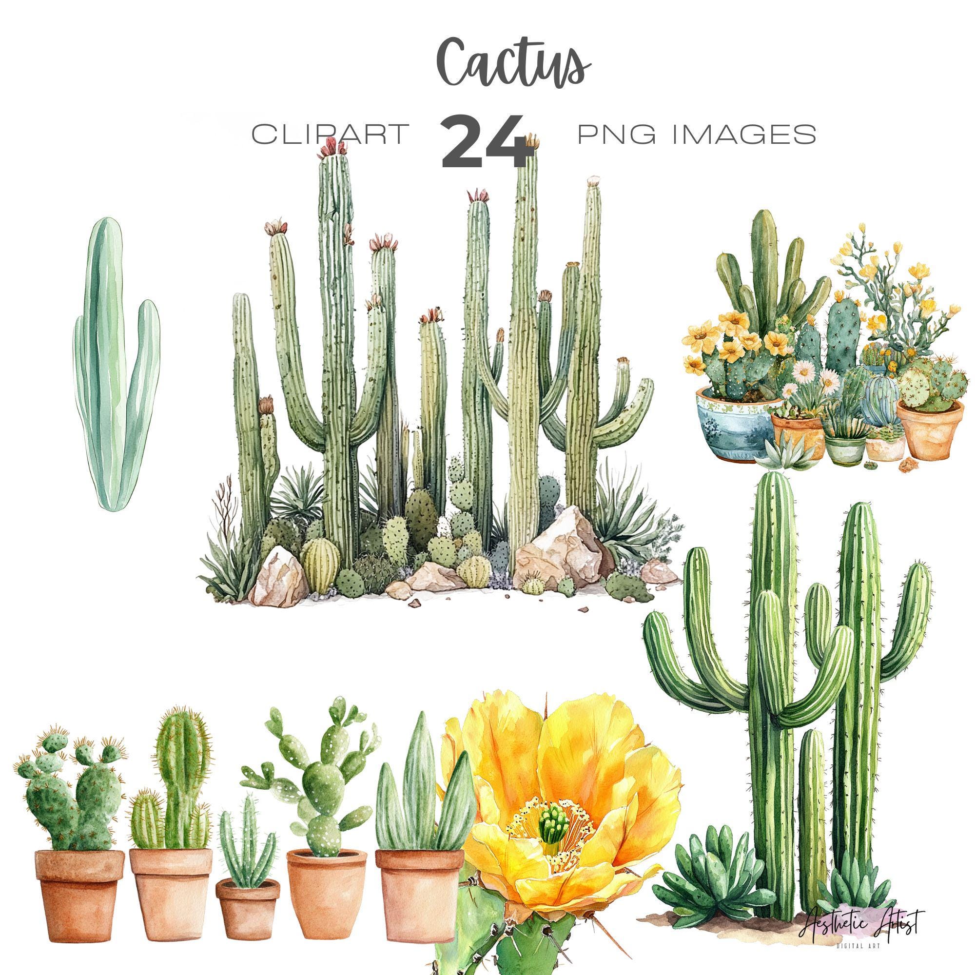 Cactus Clipart, Cacti Png, Desert Clip Art, Succulents Clipart, Plant ...