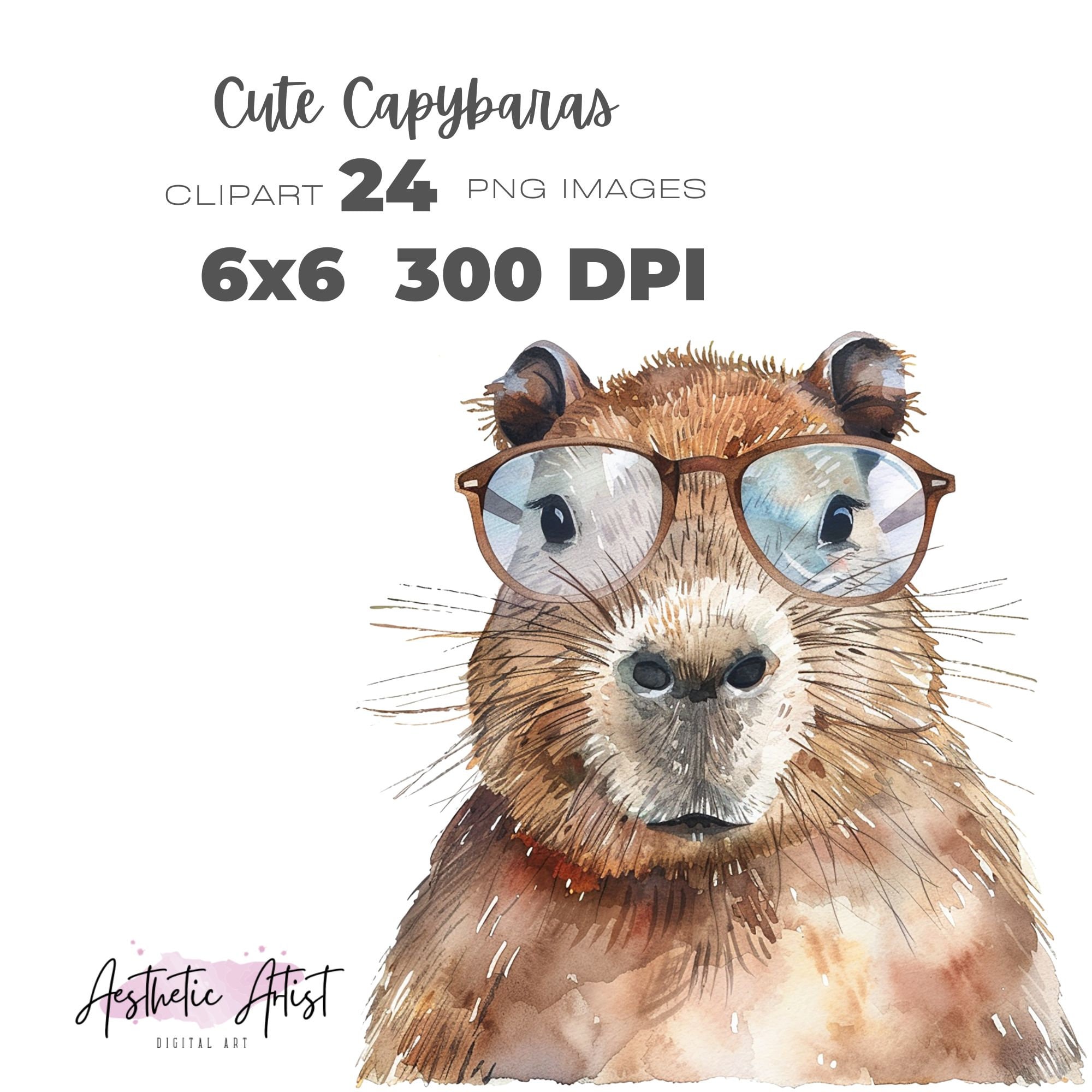 Cute Capybara Clipart, Capy Png, Animal Clip Art, Wildlife Clipart - Etsy