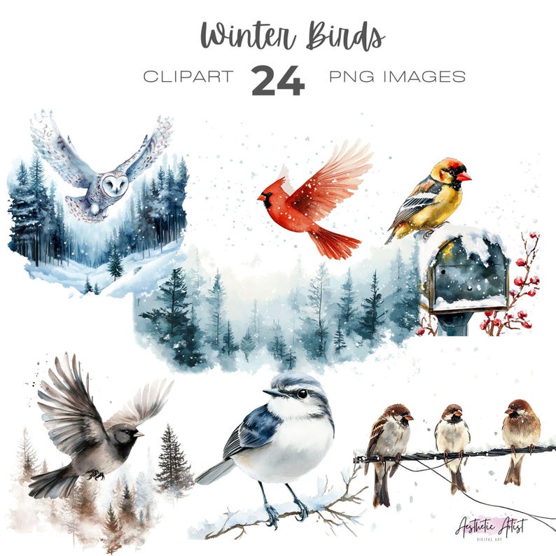 Winter Birds Clipart, Farmhouse Png, Forest Christmas Clip Art, Robin ...