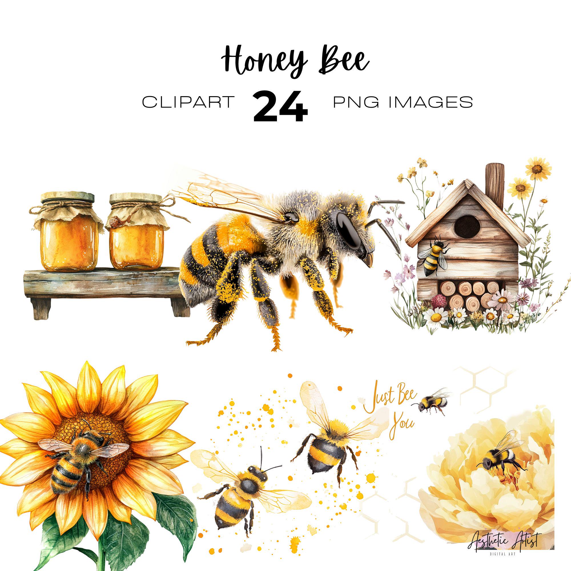 Watercolour Honey Bee Clipart Bundle, Summer, Honeycomb Clipart ...