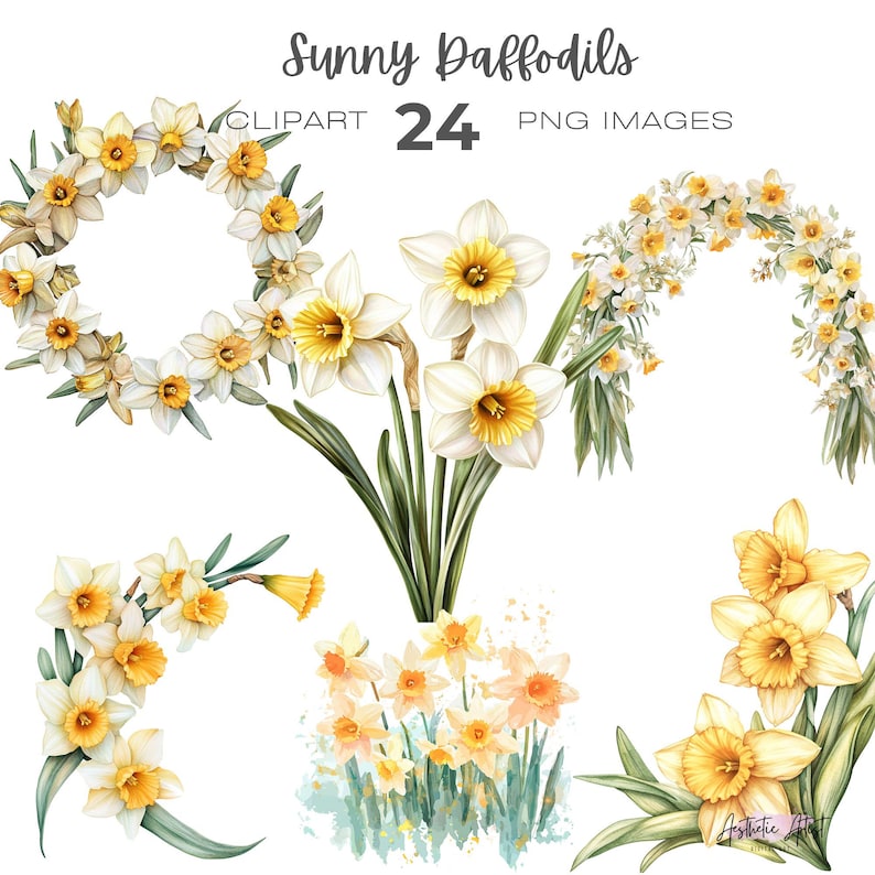 Watercolour Sunny Daffodils Clipart Bundle, Wedding, Spring Floral ...