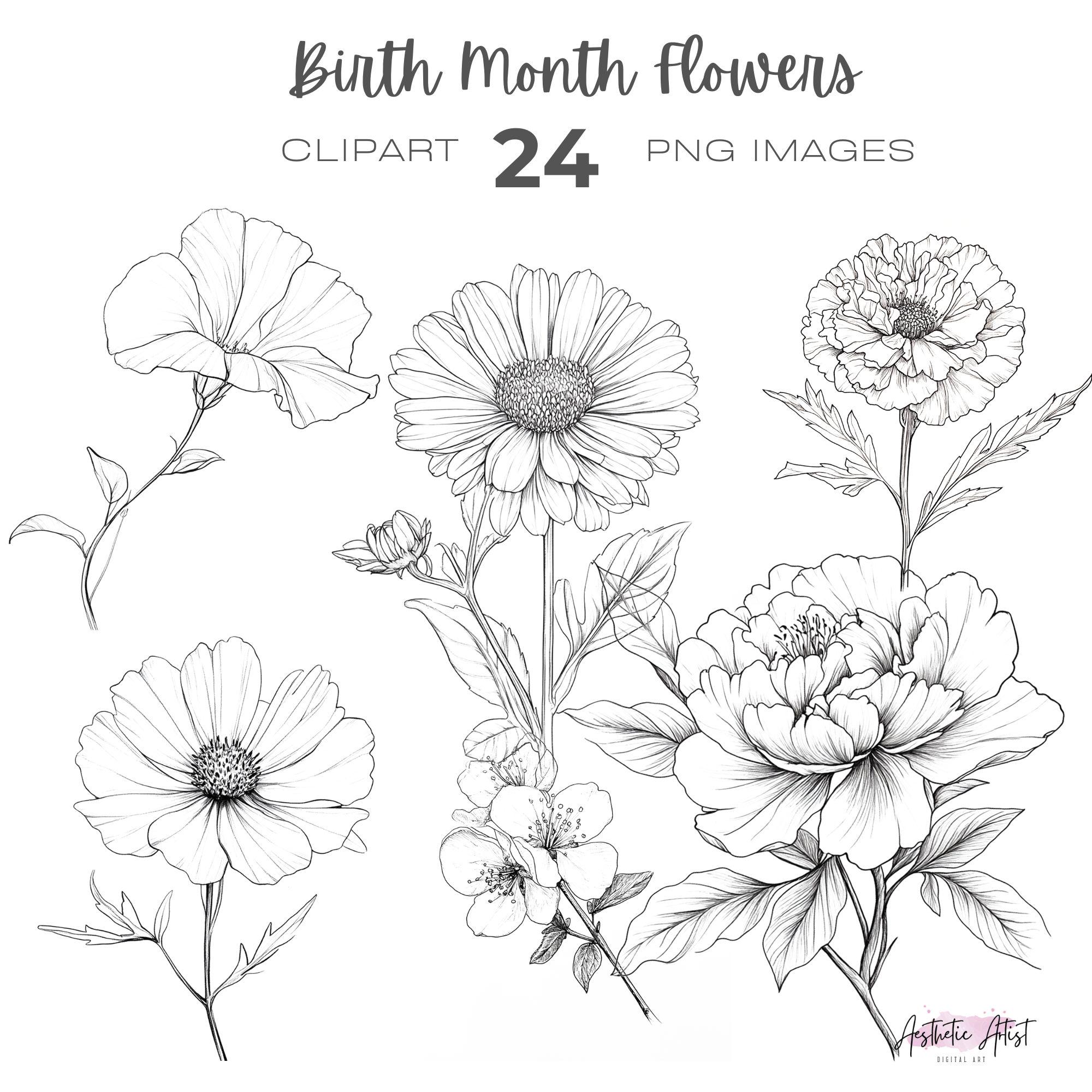 Line Drawing Birth Month Flowers Clipart Bundle, Birthday, Personalized ...