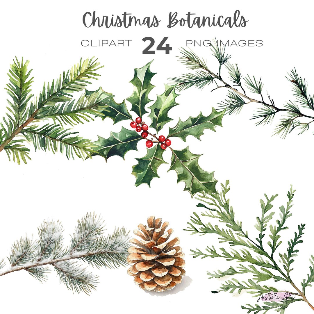 Christmas Botanicals Clipart, Xmas Png, Pinecone Clip Art, Vintage ...
