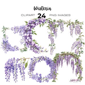Watercolour Cascading Wisteria Clipart Bundle, Wedding, Wisteria Wreath ...