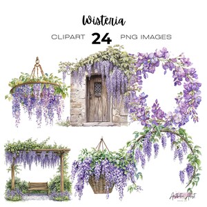 Watercolour Cascading Wisteria Clipart Bundle, Wedding, Wisteria Wreath ...