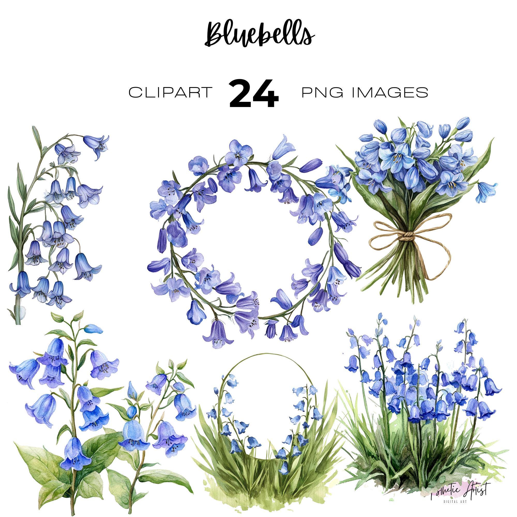 Watercolour Bluebells Clipart Bundle, Wedding, Boho Flower Clipart ...