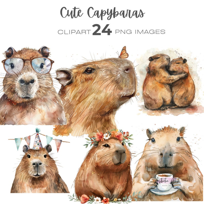 Cute Capybara Clipart, Capy Png, Animal Clip Art, Wildlife Clipart - Etsy