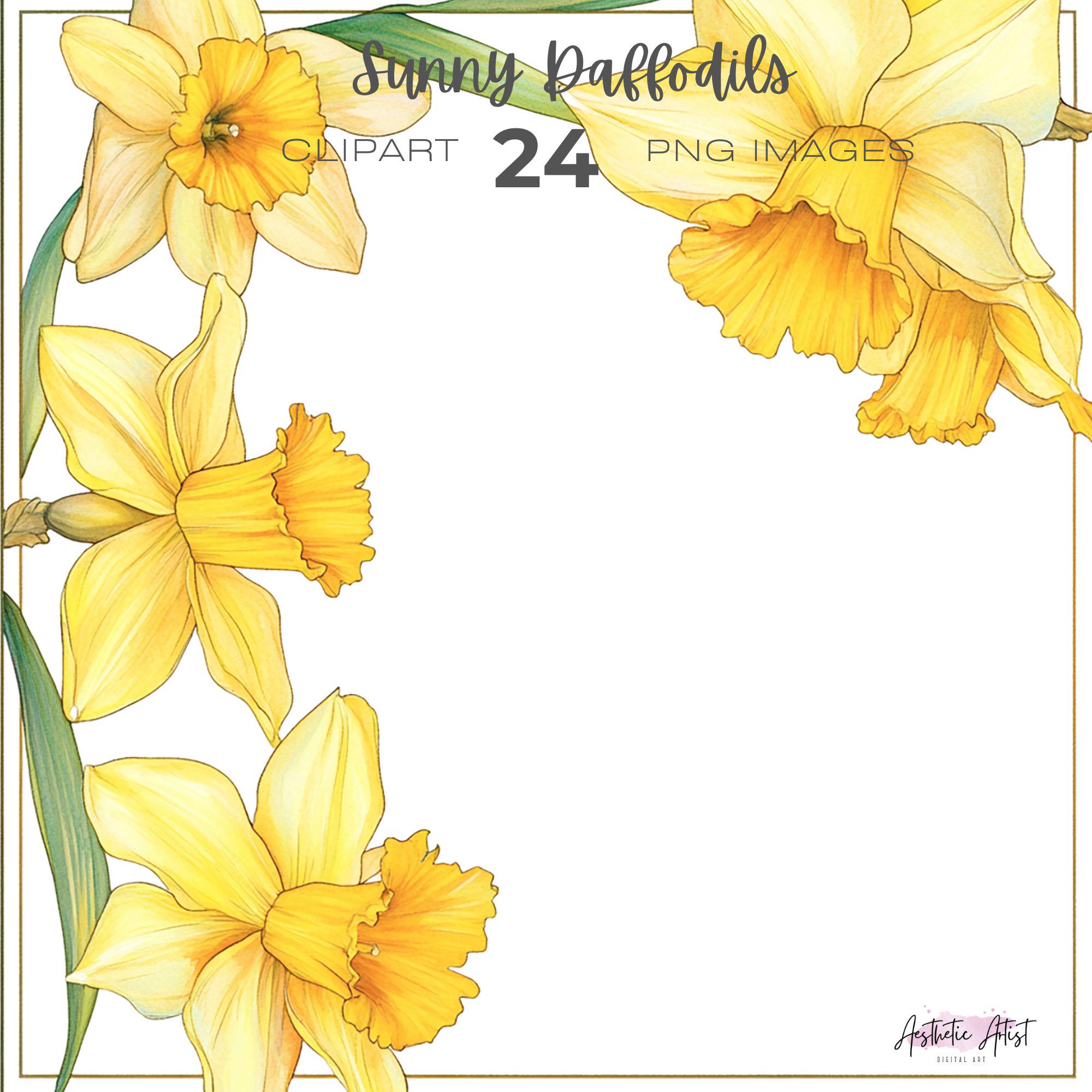 Watercolour Sunny Daffodils Clipart Bundle, Wedding, Spring Floral ...