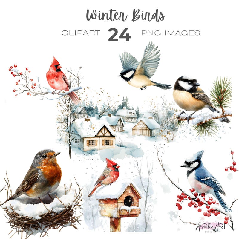 Winter Birds - Etsy