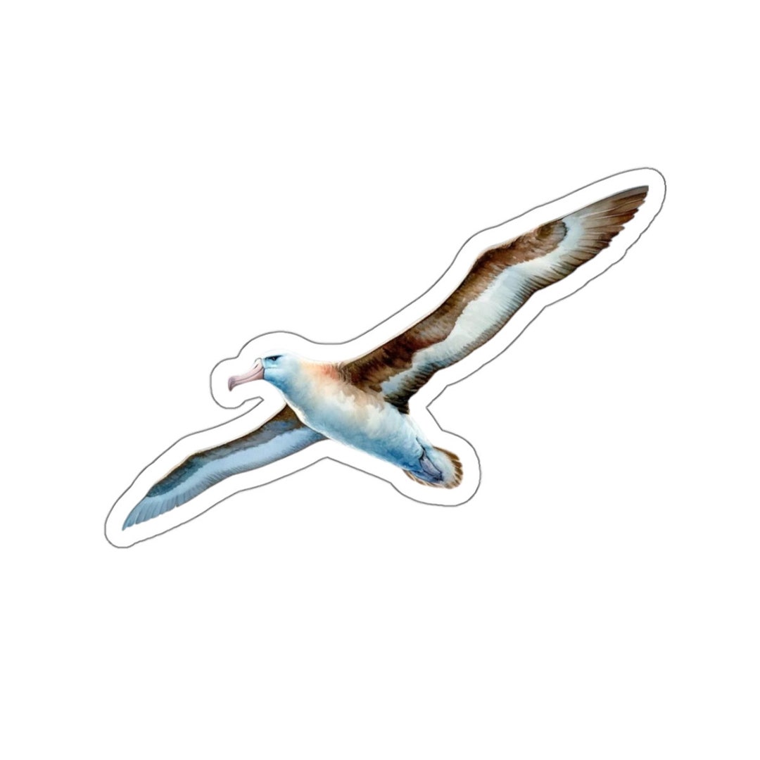 Albatross Vinyl Decal Sticker, Watercolor Bird Over Sea Waves, Durable ...