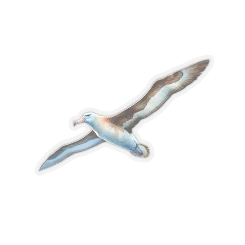 Albatross Vinyl Decal Sticker, Watercolor Bird Over Sea Waves, Durable ...