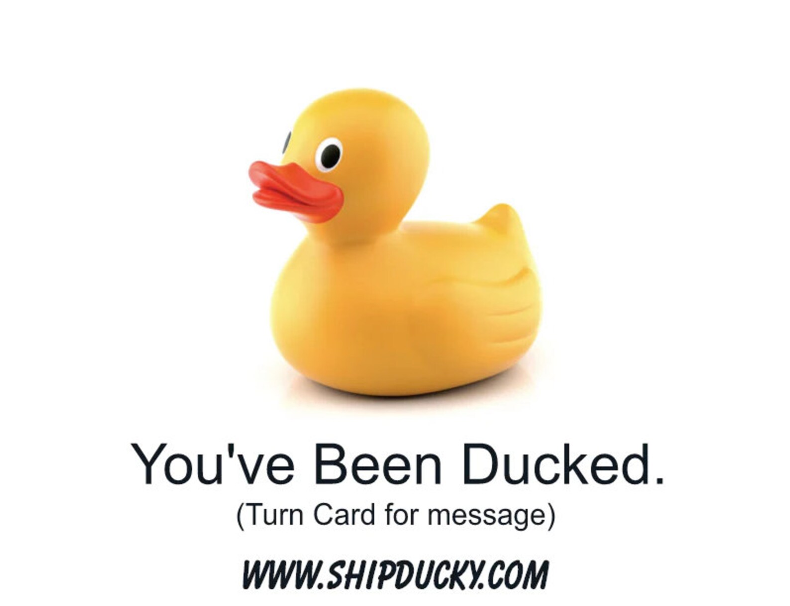 Ghostbusters goosebusters Rubber Duck Collectable - Etsy
