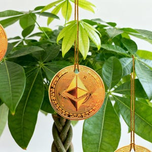 Live Plant Money Tree & Coin Tags in White/green/vintage Pot, Home ...