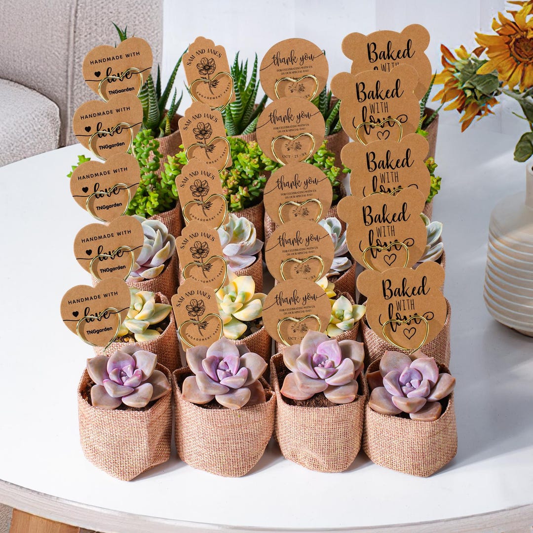 Live Succulents With Burlap Wraps & Custom Tags for Wedding Party, Baby ...
