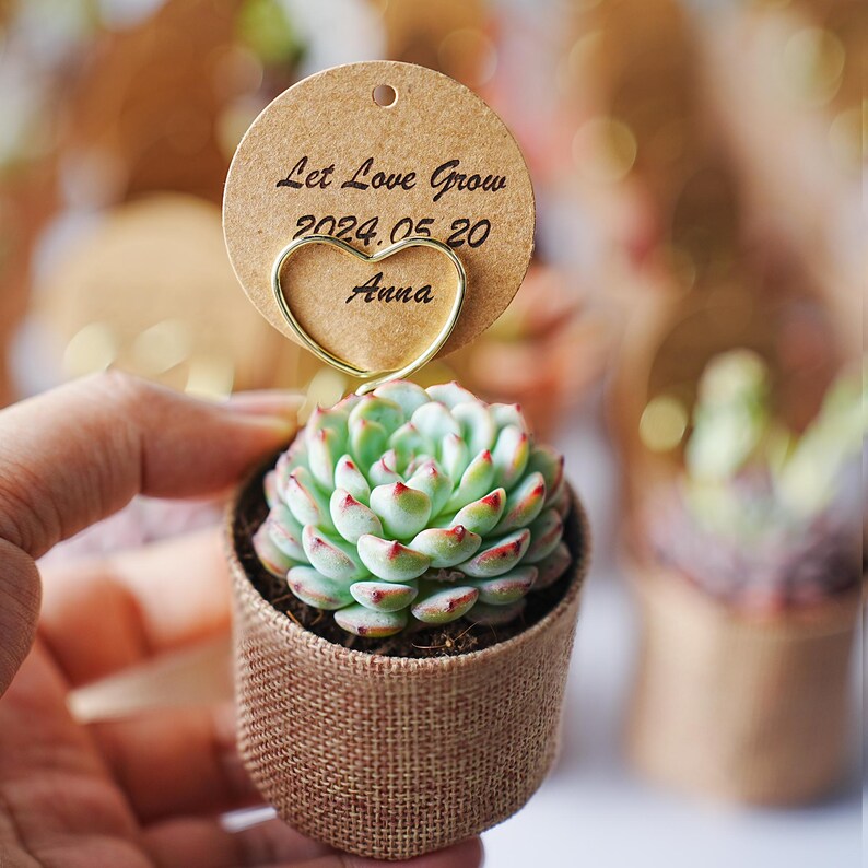 Live Succulents With Burlap Wraps&custom Tag,wedding Party | Wedding ...