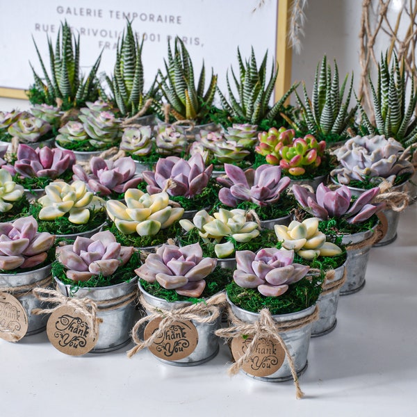 Small Gifts for Parties - 60+ Gift Ideas for 2025