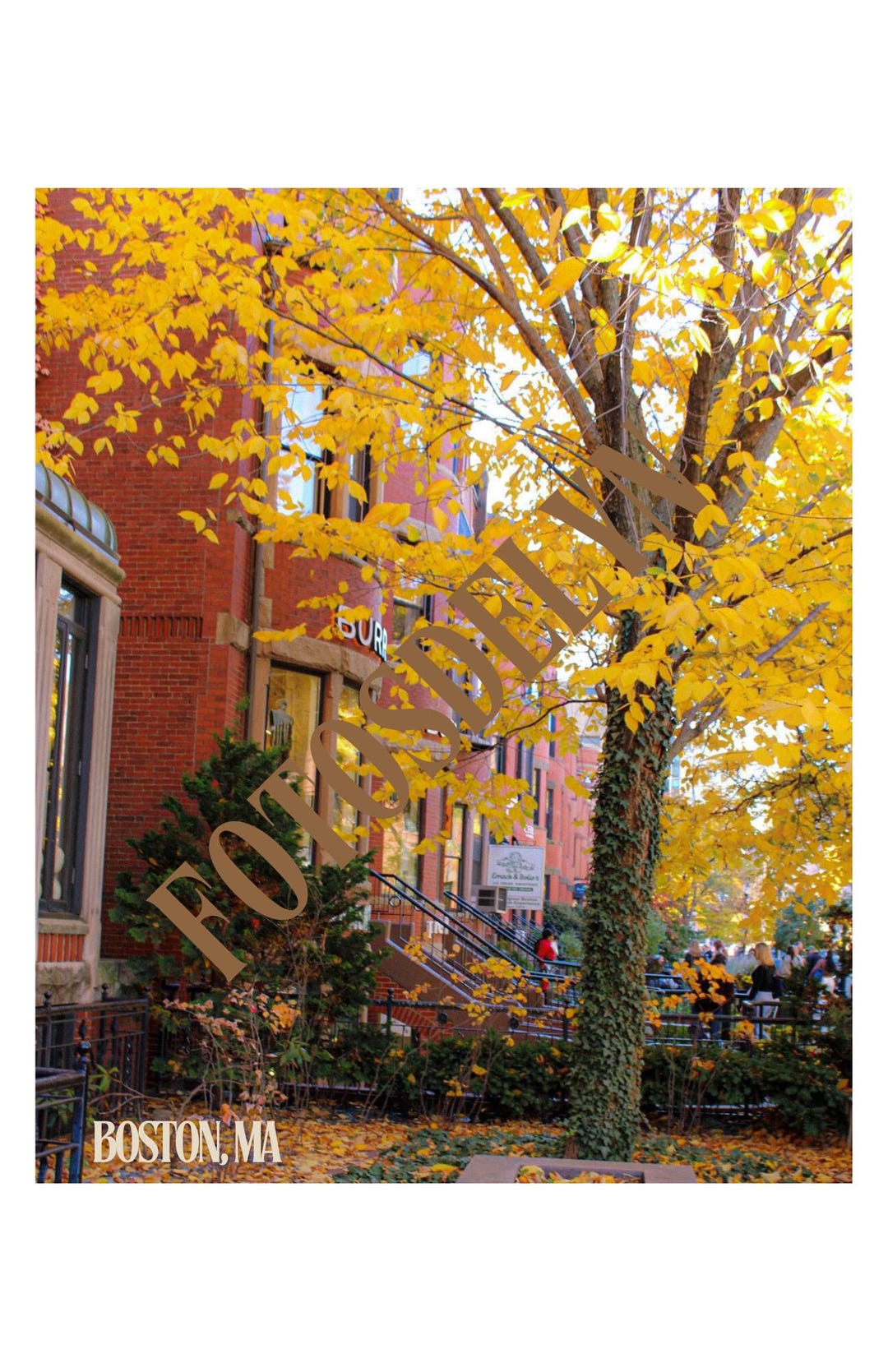 Titled Boston Postcards, Digital Prints, Harvard University - Etsy