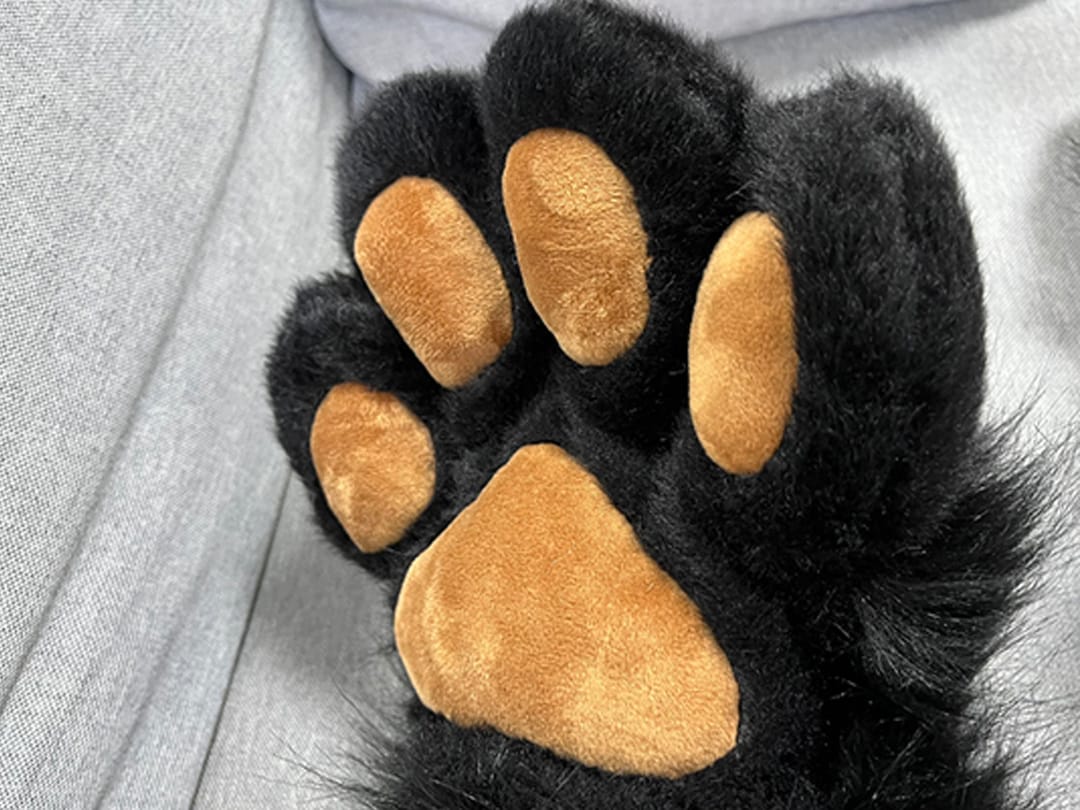 Custom Soundable Wearable Furry Cat Paws With Nails Furry Art - Etsy