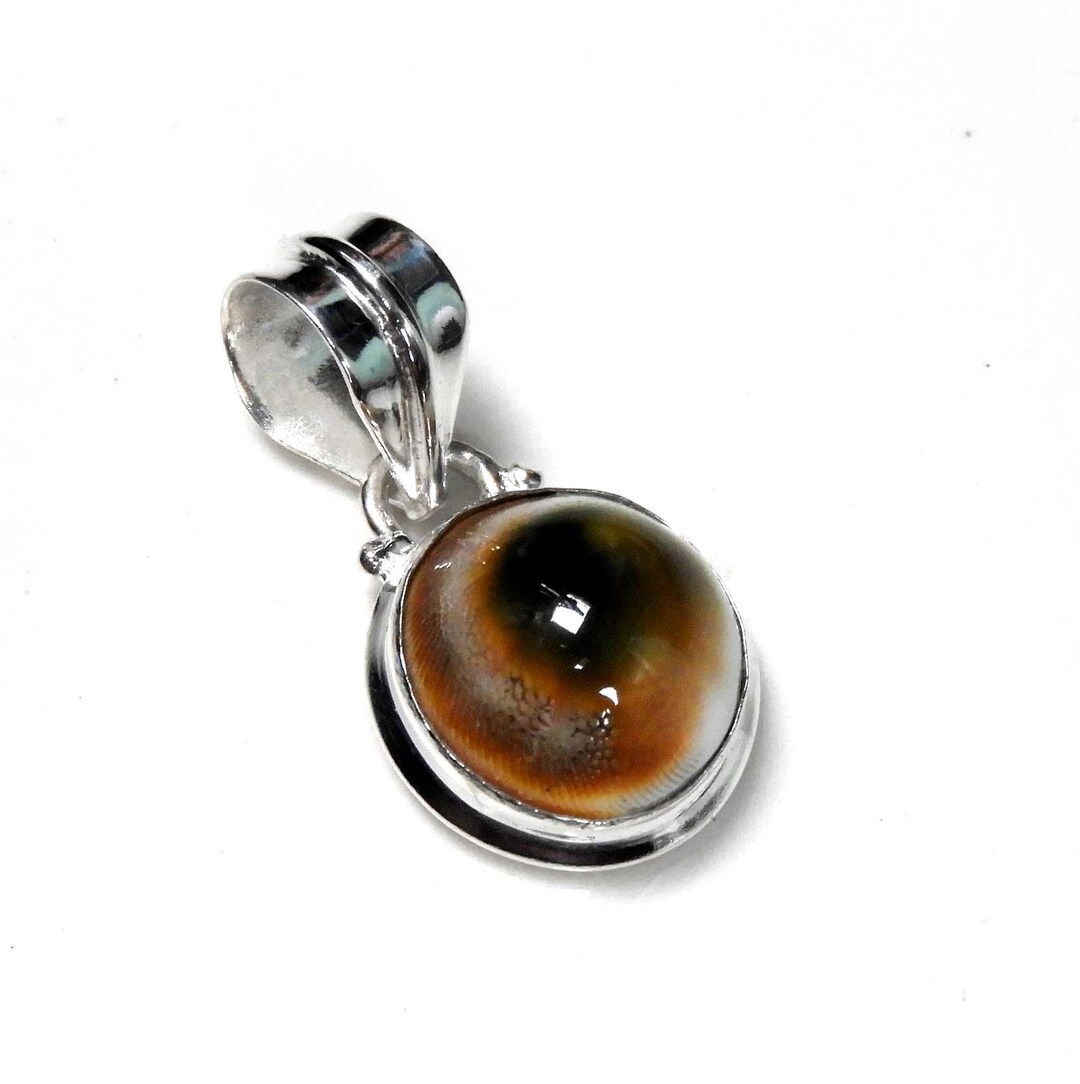 Natural Green Shiva Eye Shell Pendant in 925 Sterling Silver Jewelry - Etsy