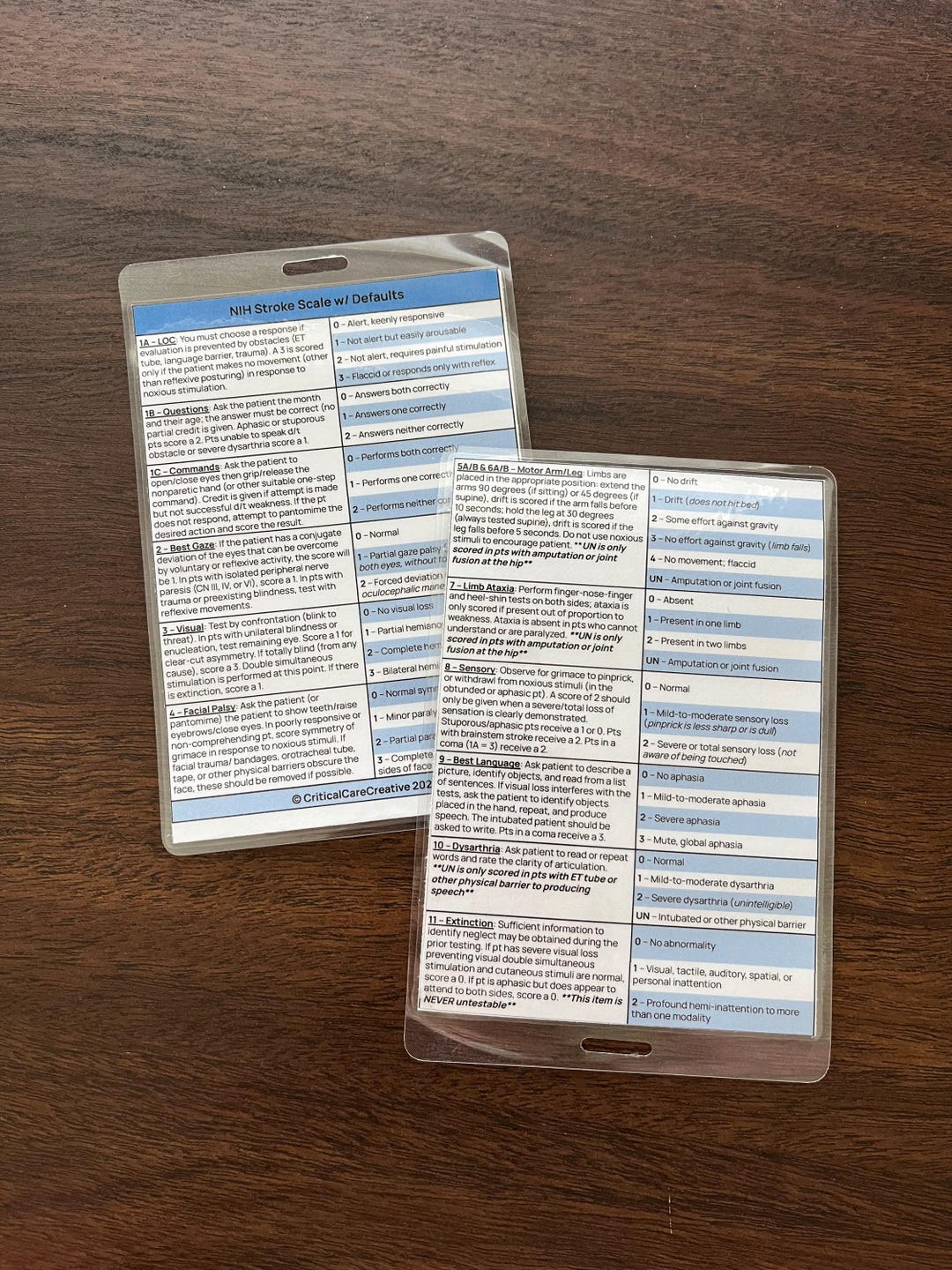 NIH Stroke Scale Badge Buddy Critical Care ICU Neuro Stroke Reference ...