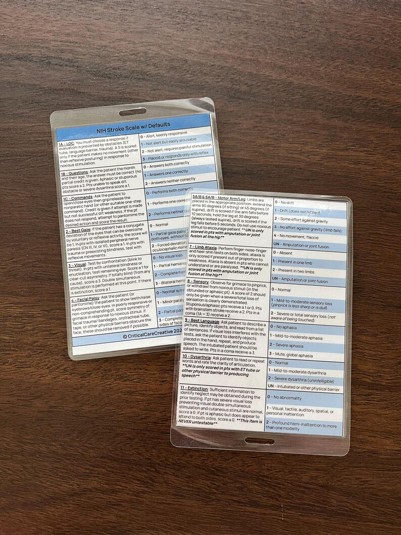 NIH Stroke Scale Badge Buddy Critical Care ICU Neuro Stroke Reference ...