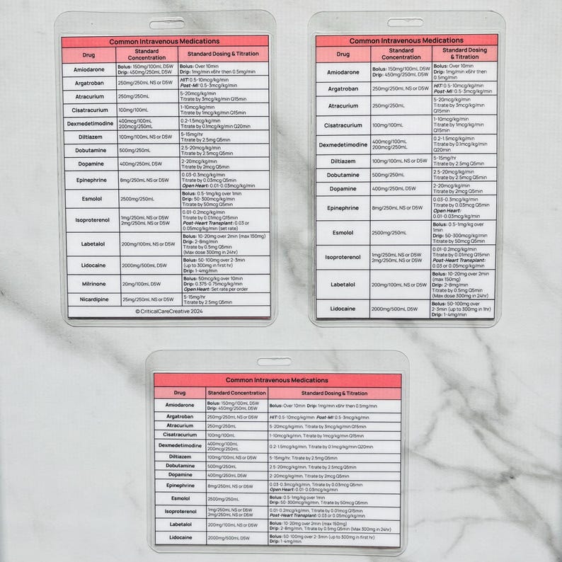 Common ICU Medications Badge Buddy | Critical Care IV Drip Intubation ...
