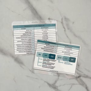 Hemodynamic Parameters Reference Badge Buddy | ICU Nursing Resource - Etsy