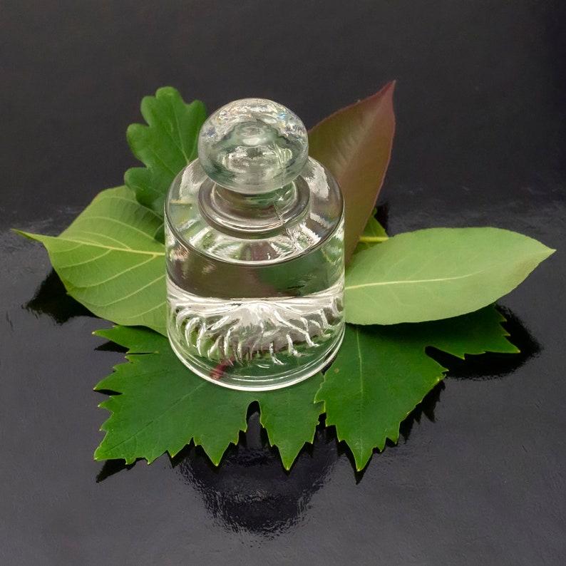 Italian Transparent Glass Paperweight Made in the Shape of a ...