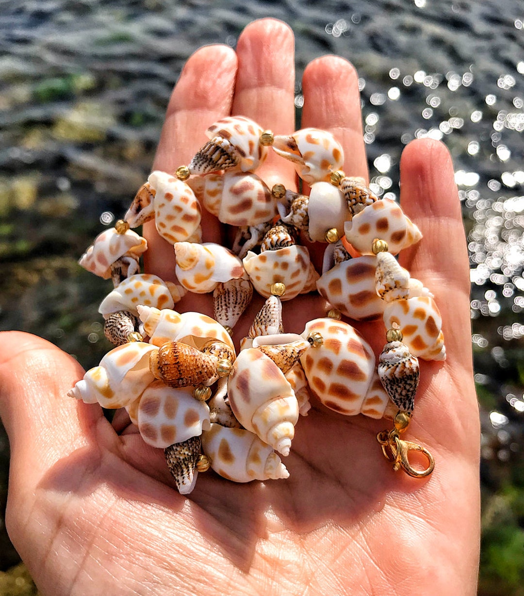 Aphrodite Shell Necklace: Sea Shell Choker Boho Shell Necklace, Chunky ...