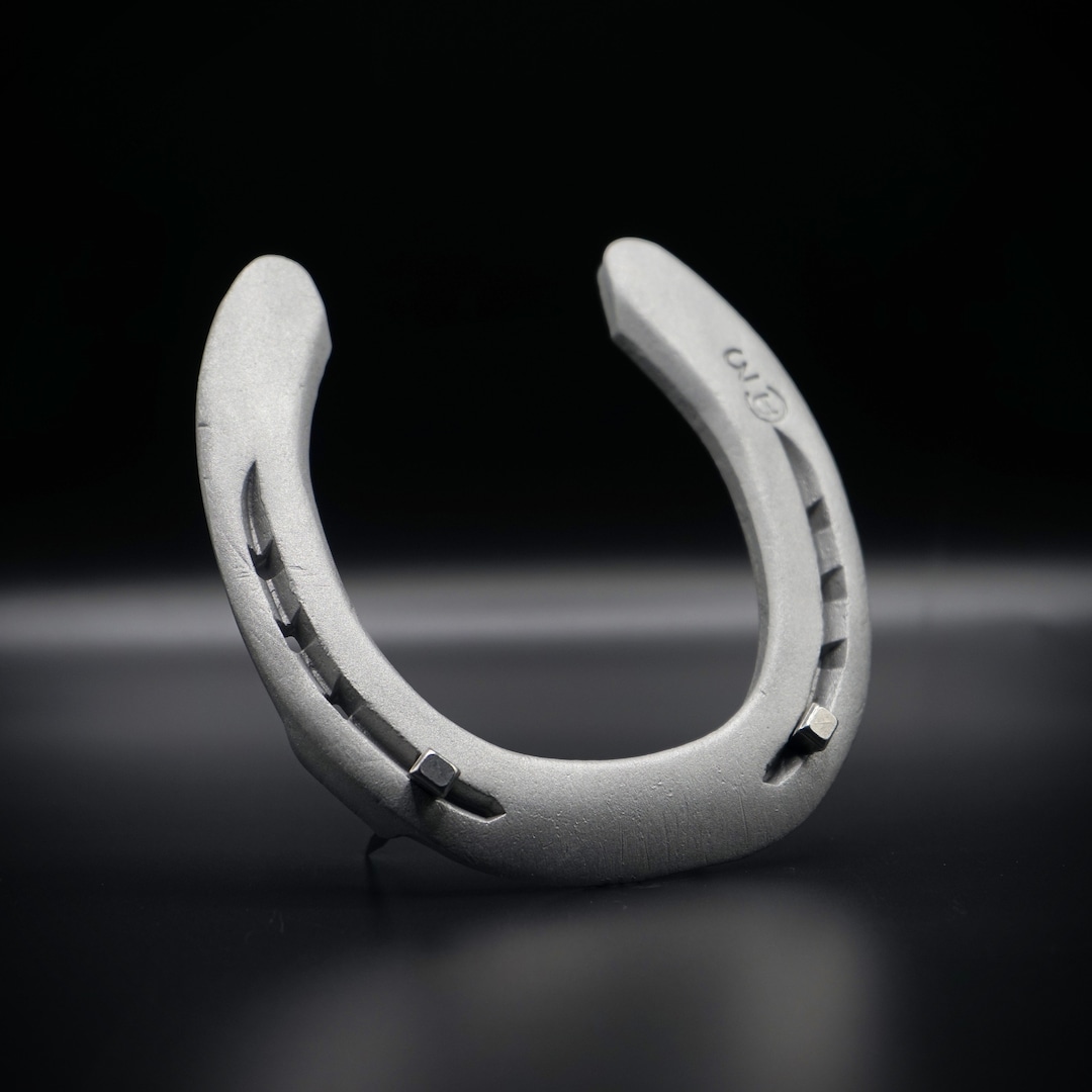 Lucky Horseshoe Lucky Charm Worn by the Horse, Horseshoe Gift for ...