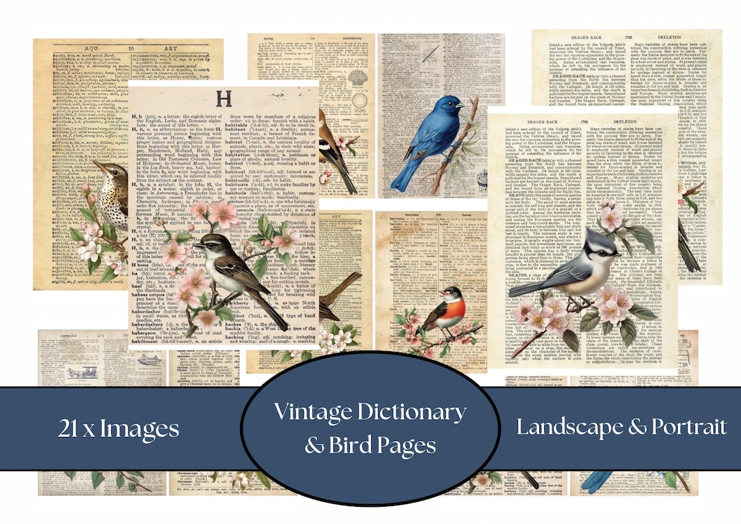 Vintage Dictionary Pages | Vintage Bird Colour Illustrations ...