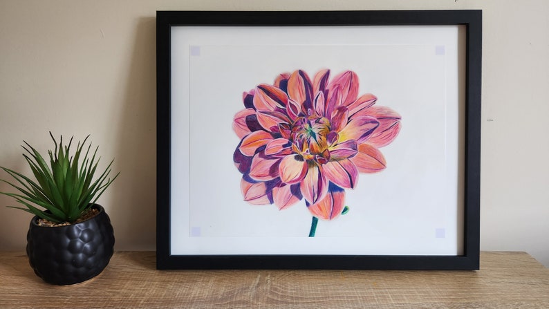 Framed Dahlia Coloured Pencil Drawing Original Art Floral Art Botanical ...