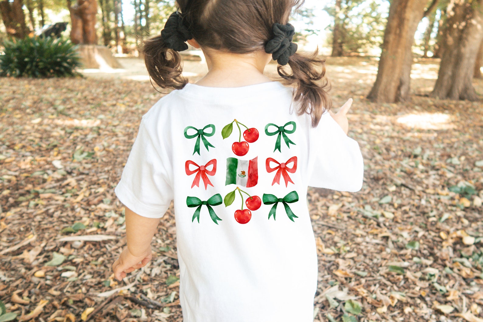 Preppy Coquette Cinco De Mayo Png, Mexico Bow Png, Mexican Png ...