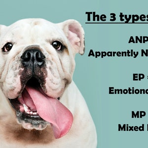 41 Types of Alters in Dissociative Identity Disorder - A Booklet ...