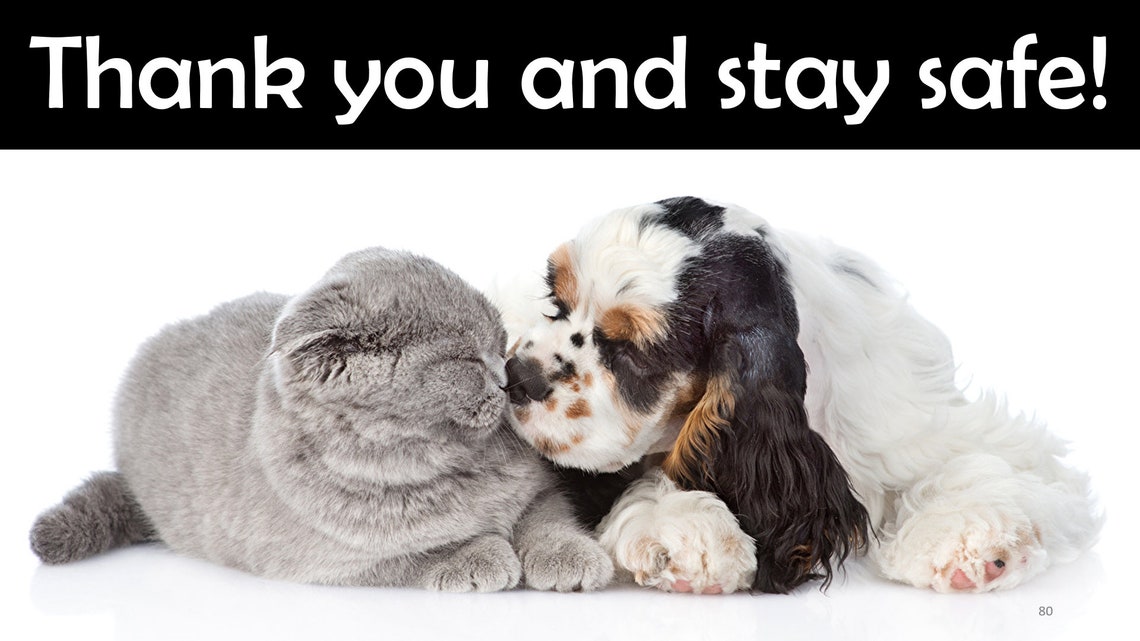 41 Types of Alters in Dissociative Identity Disorder A - Etsy