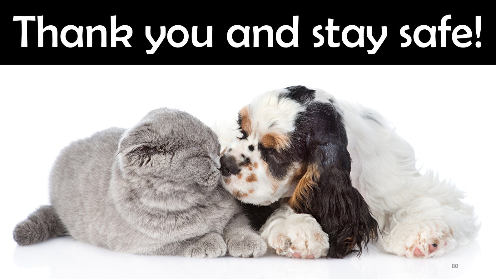 41 Types of Alters in Dissociative Identity Disorder A - Etsy