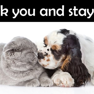 41 Types of Alters in Dissociative Identity Disorder A - Etsy