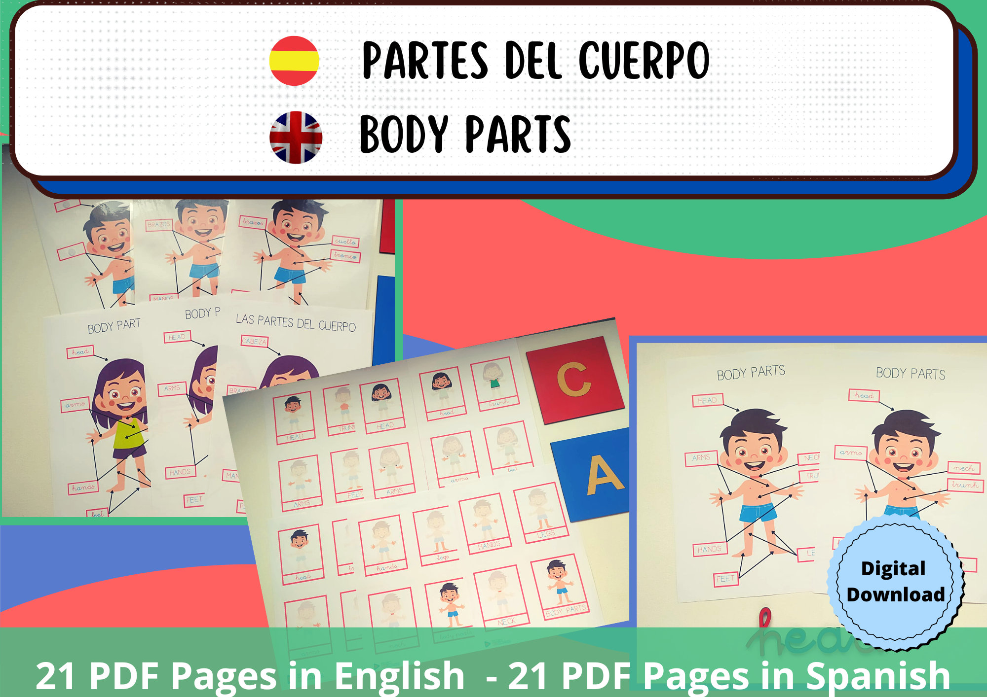 Body Parts Printable Montessori Cards Body Parts Flash Cards Flash