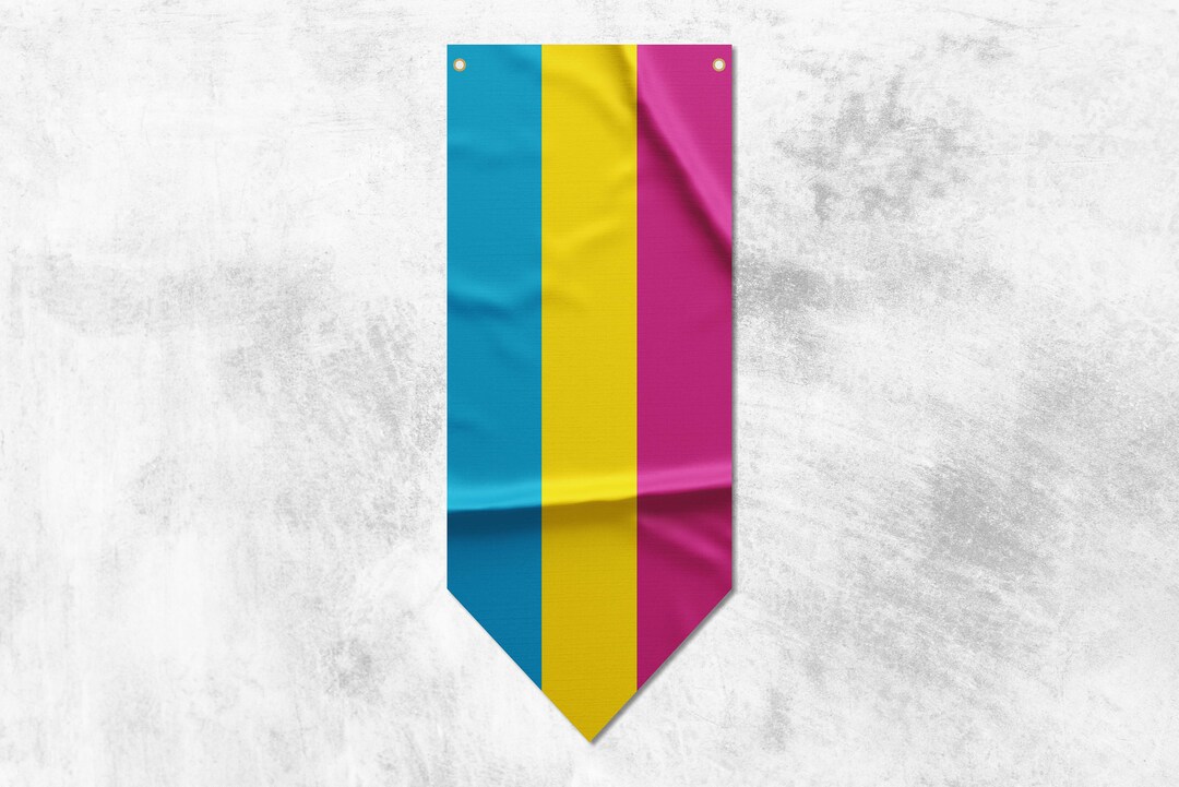 Pansexual Pennant Flag Banner | Pride Flag Banners | High Quality ...