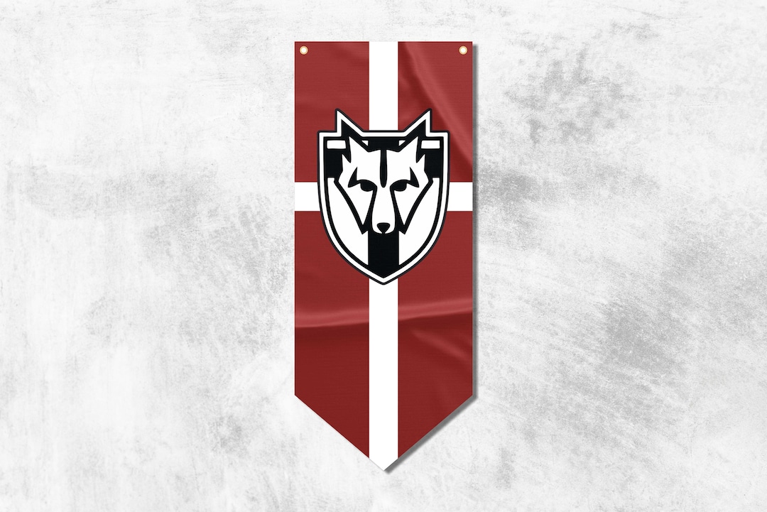 Haafingar Pennant Flag Banner | High Quality Materials | Size: 50x120 ...