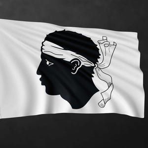 Corsica Flag Banner | France Region Flags | High Quality Materials - Etsy