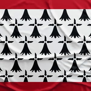 Limousin Flag Banner | France Region Flags | High Quality Materials - Etsy