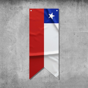 Chile Pennant Flag Banner | Country Flag Banner | High Quality ...