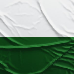 Saxony Flag Banner | Germany Region Flags | High Quality Materials - Etsy