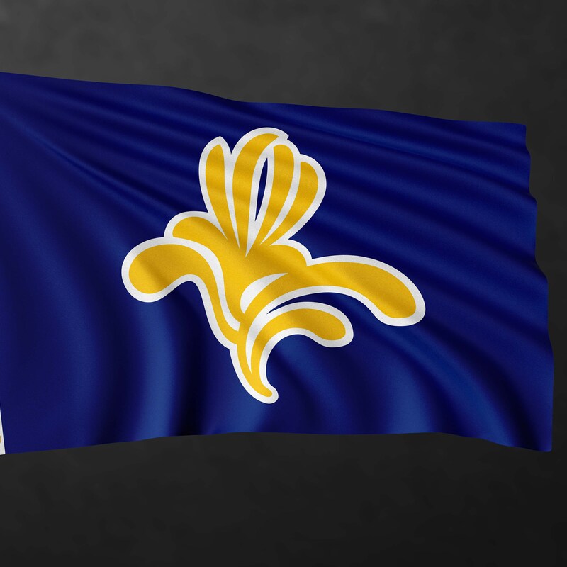OYQFlags - Etsy