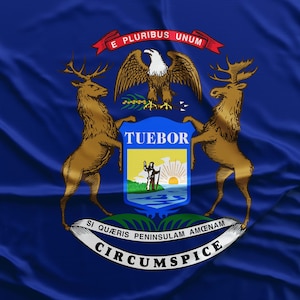 Michigan Flag Banner | United States of America Flags | High Quality ...