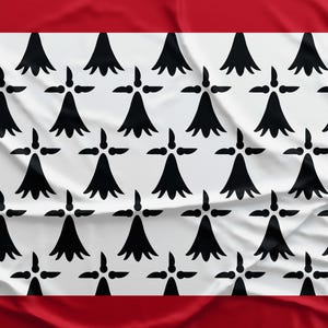 Limousin Flag Banner | France Region Flags | High Quality Materials - Etsy